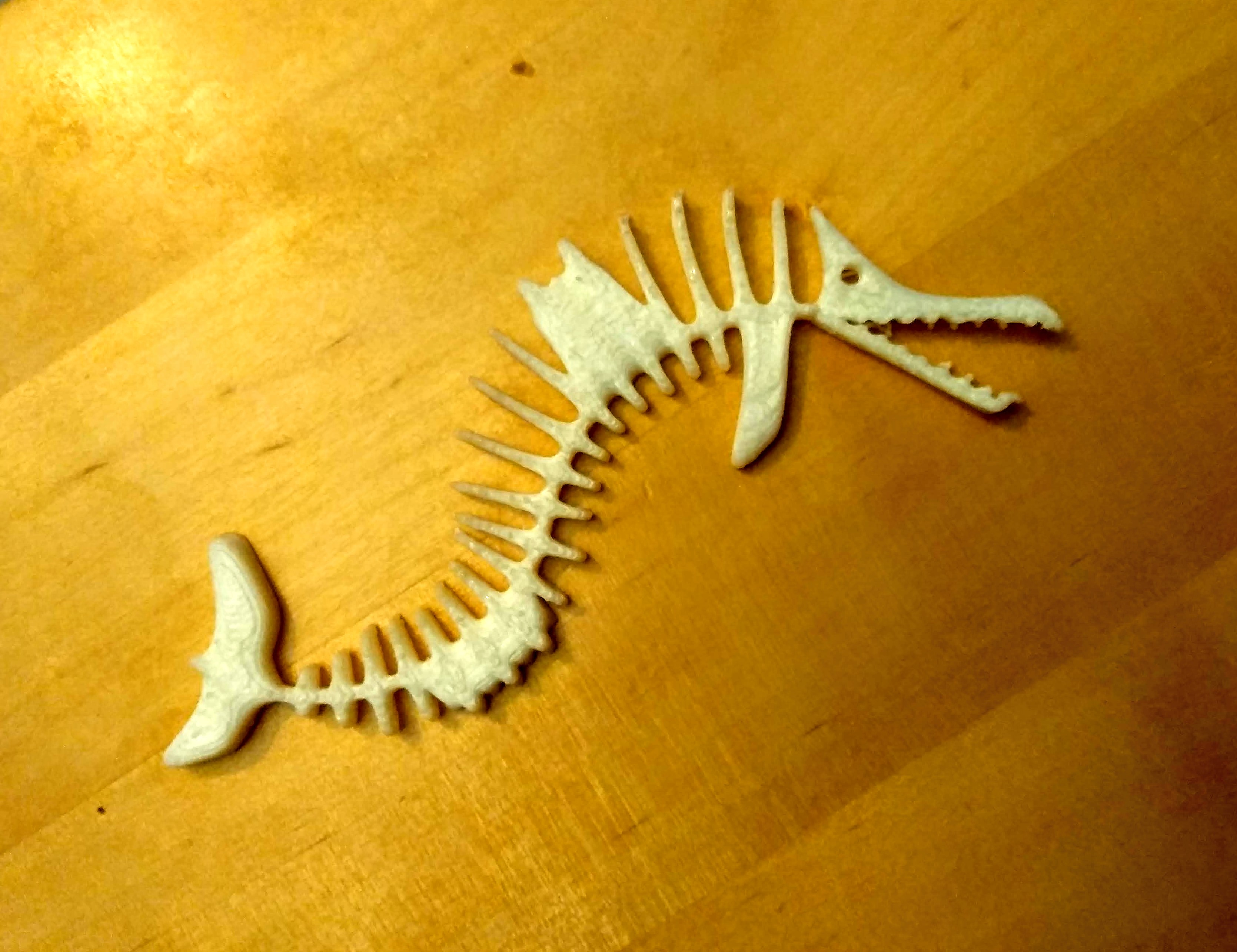 Free STL file Fossil fish・3D print design to download・Cults
