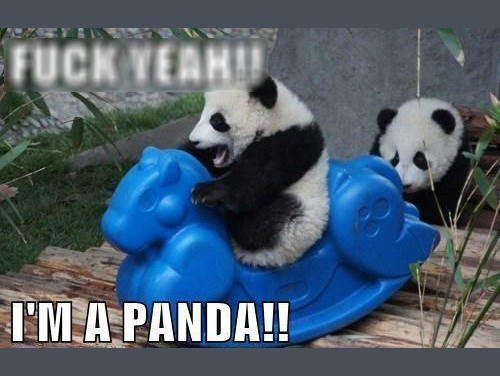 Free 3D file Bamboo-Eater on a War Path, aka FckYeah I'm A Panda 🐼・3D ...