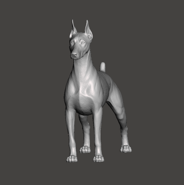 STL file Doberman Pinscher Dog・3D print design to download・Cults