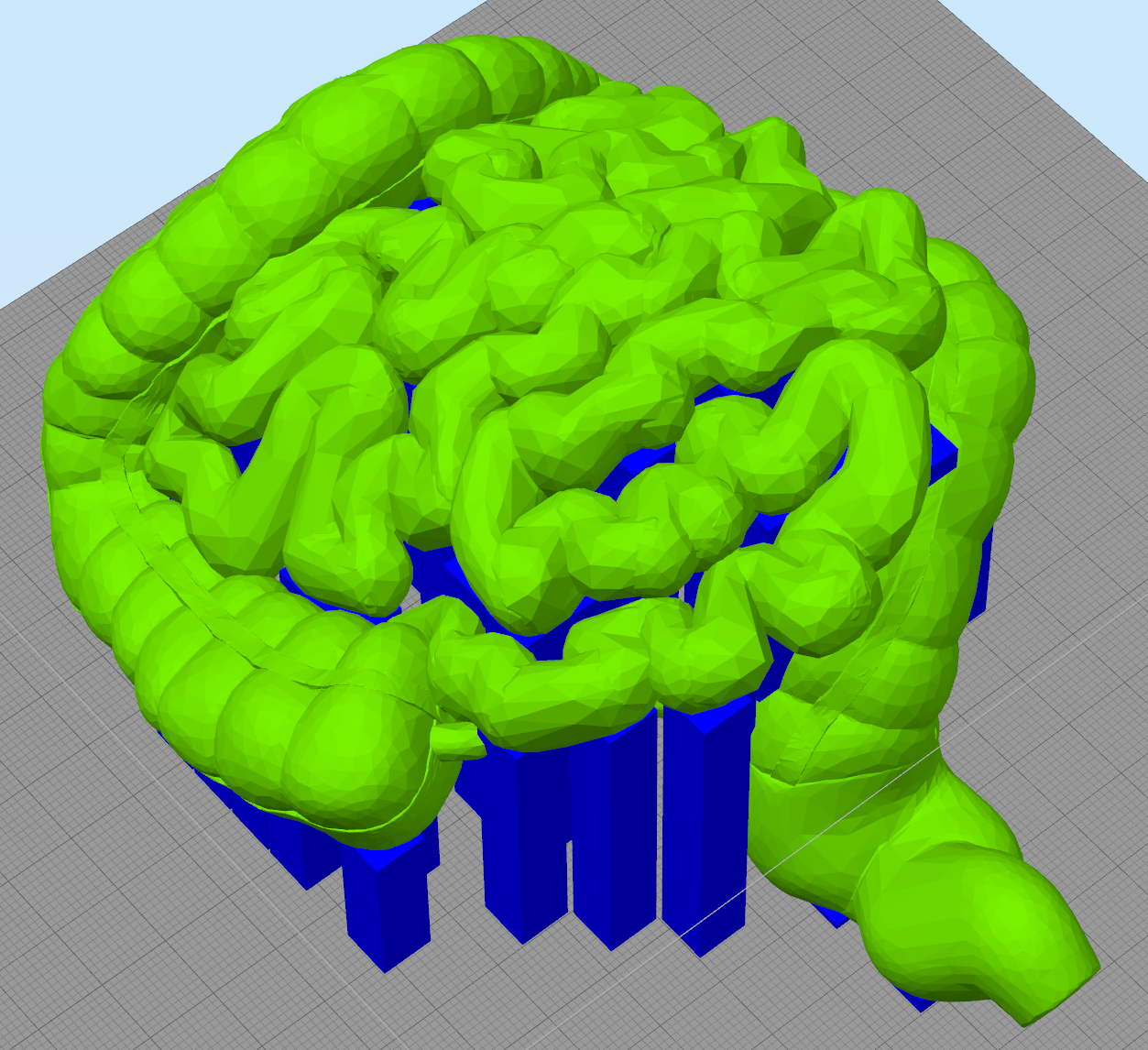 Free STL file intestine・3D printable design to download・Cults