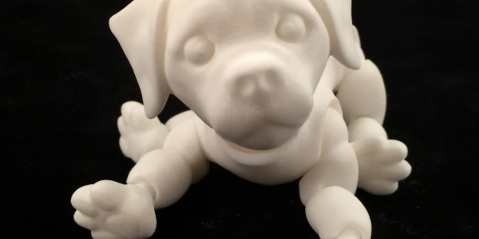 Nature is printed in 3D! Top 10 animals printed in 3D ・ Cults